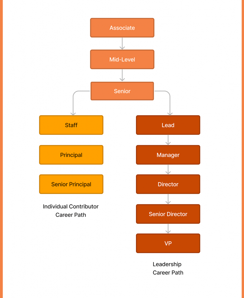 Designer Career Ladders: Enhancing Designers Performance & Growth